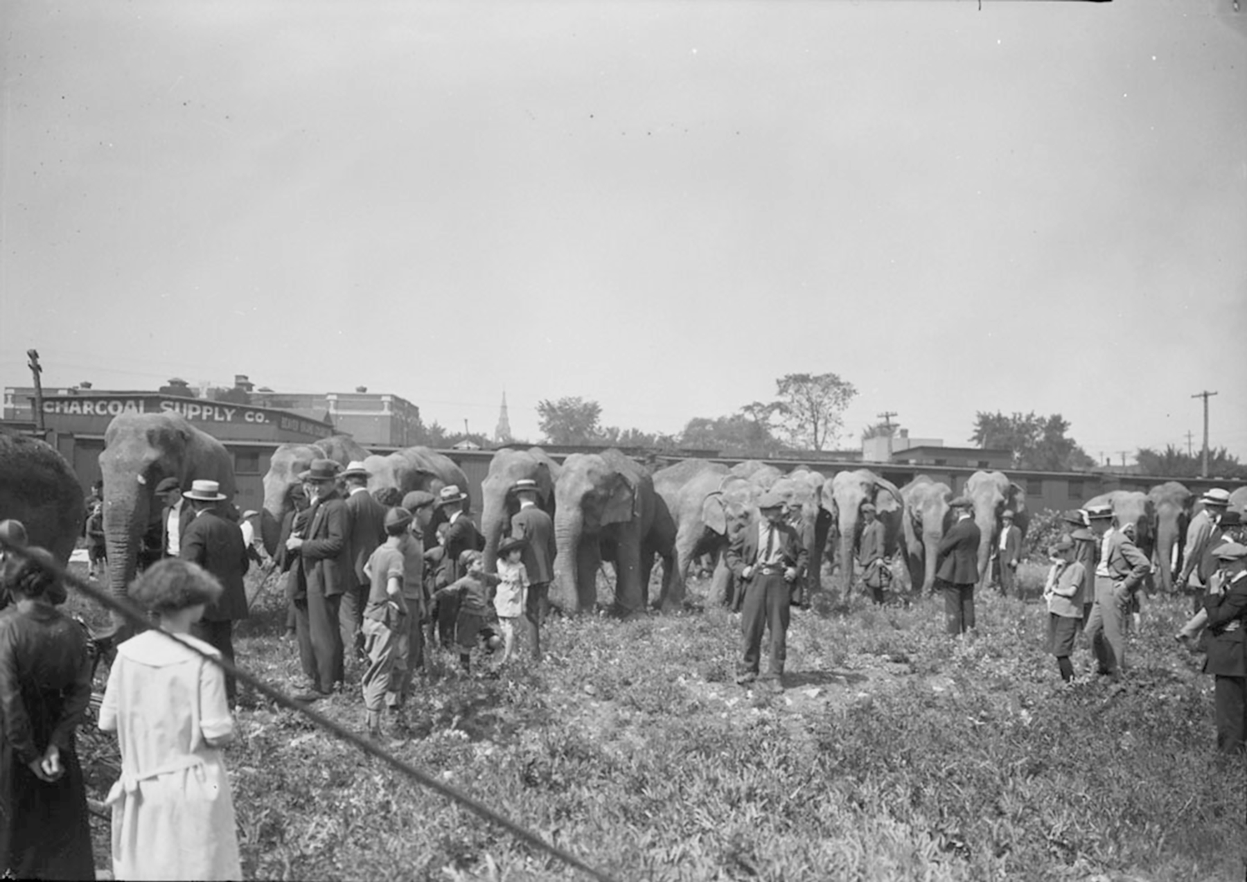 Early Days: When the circus came to Wellington West