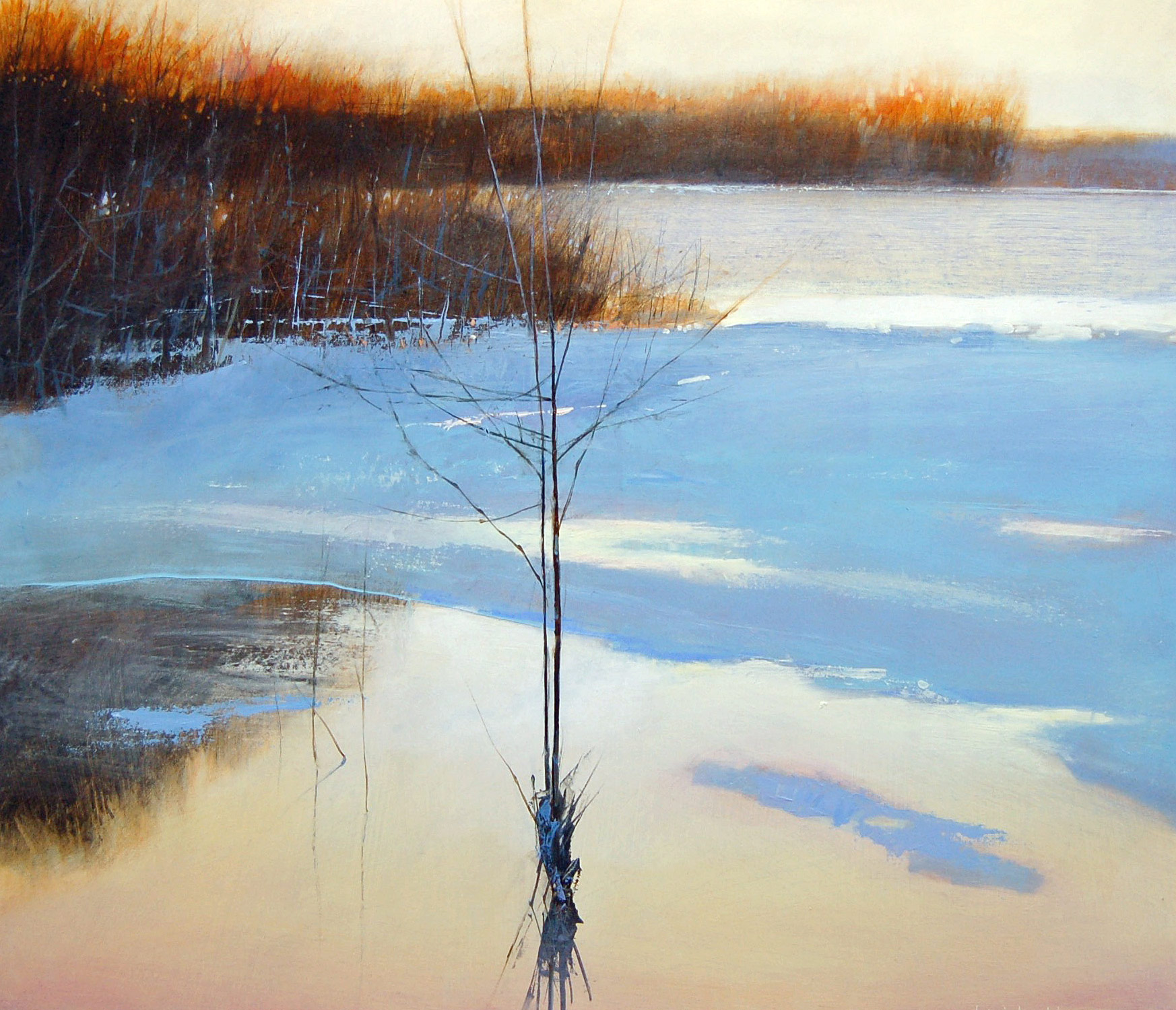 Artists and community collaborate to keep our waters clean