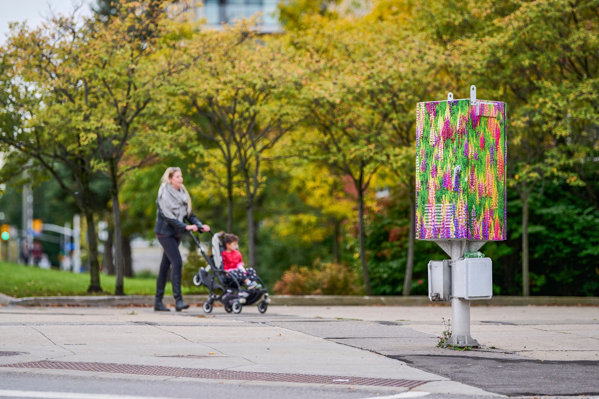 Michelle Valberg brings wildlife to Westboro