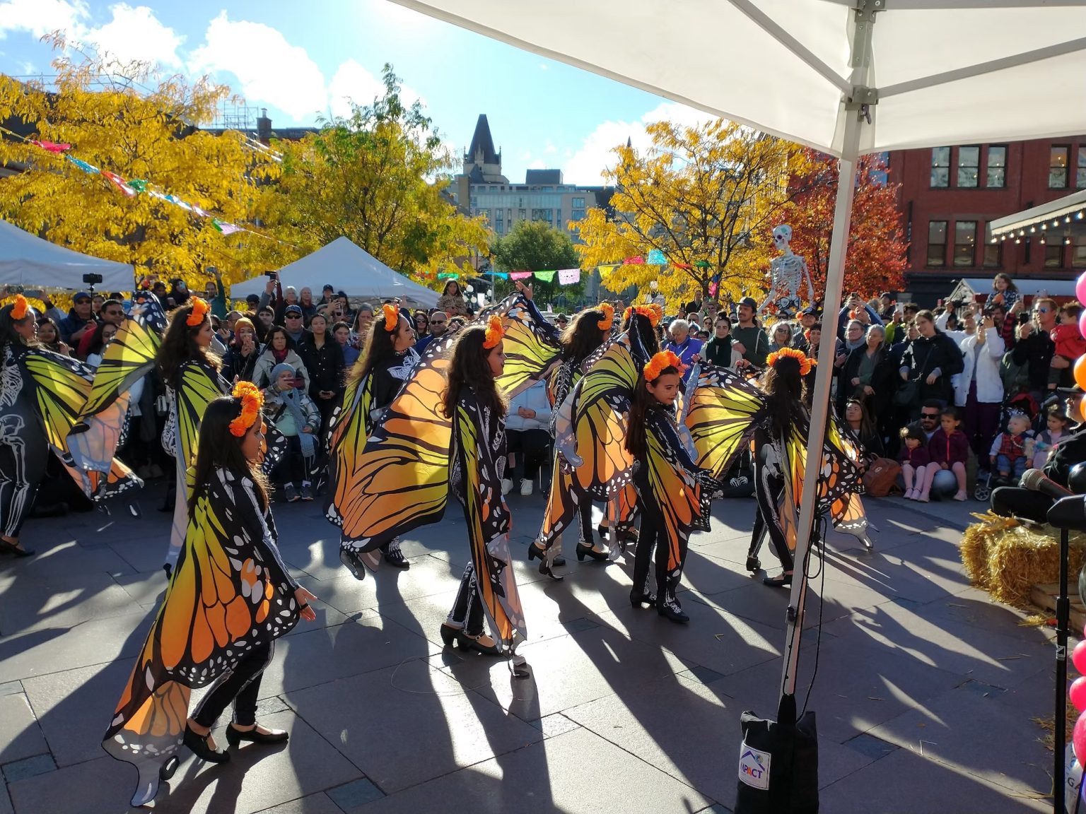 A list of Ottawa festivals and events taking place this fall