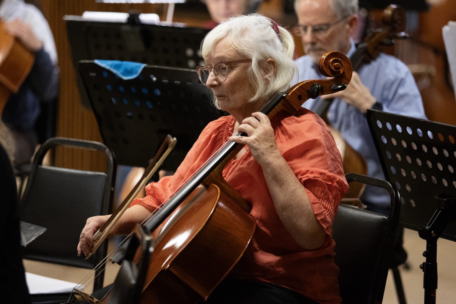 Parkdale Orchestra gears up for January Shakespeare performance